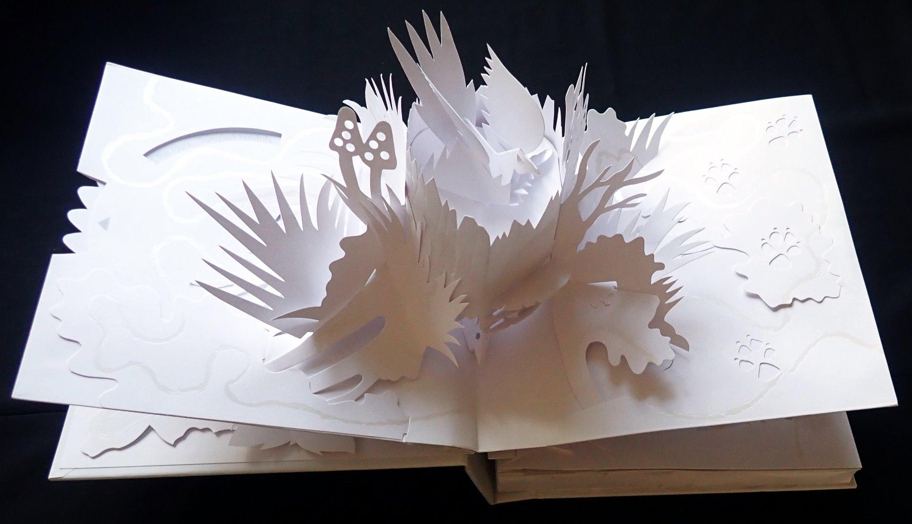 Trail: Paper Poetry Pop-Up: Pelham, David, Pelham, David: Amazon.com: Books