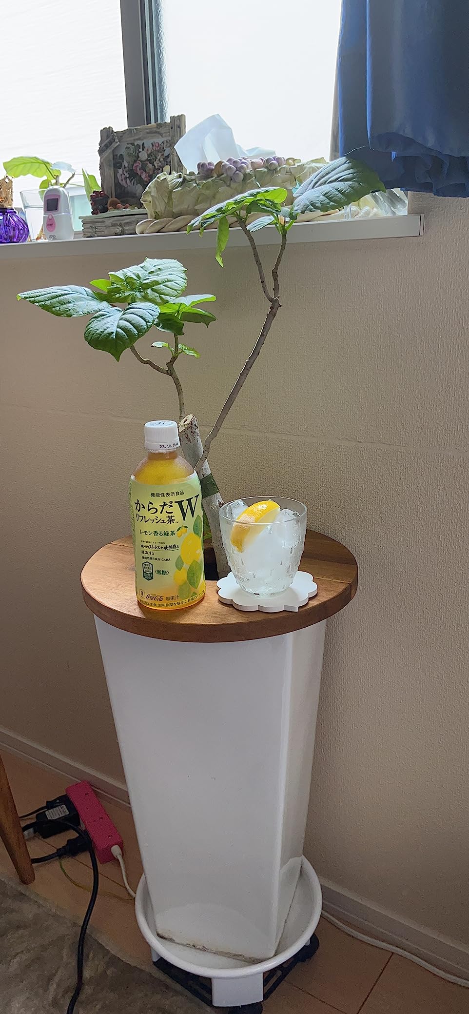 Amazon.co.jp: コカ・コーラ からだリフレッシュ茶440mlPET ×24本 : 食品・飲料・お酒