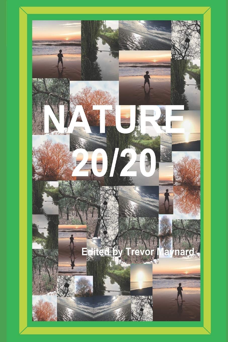 Nature 20/20: Maynard, Trevor, Falconer, Brian M, Risinger, Konnie ...