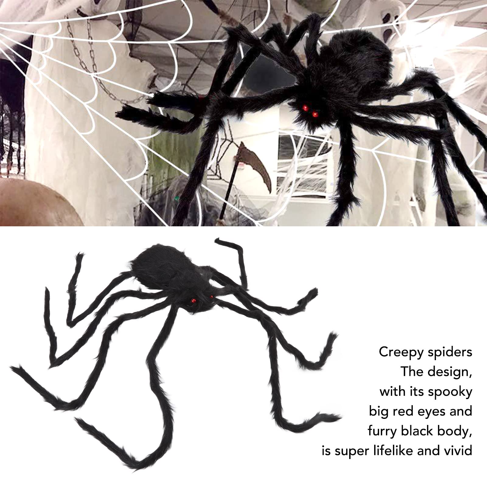 Super Scary Spiders