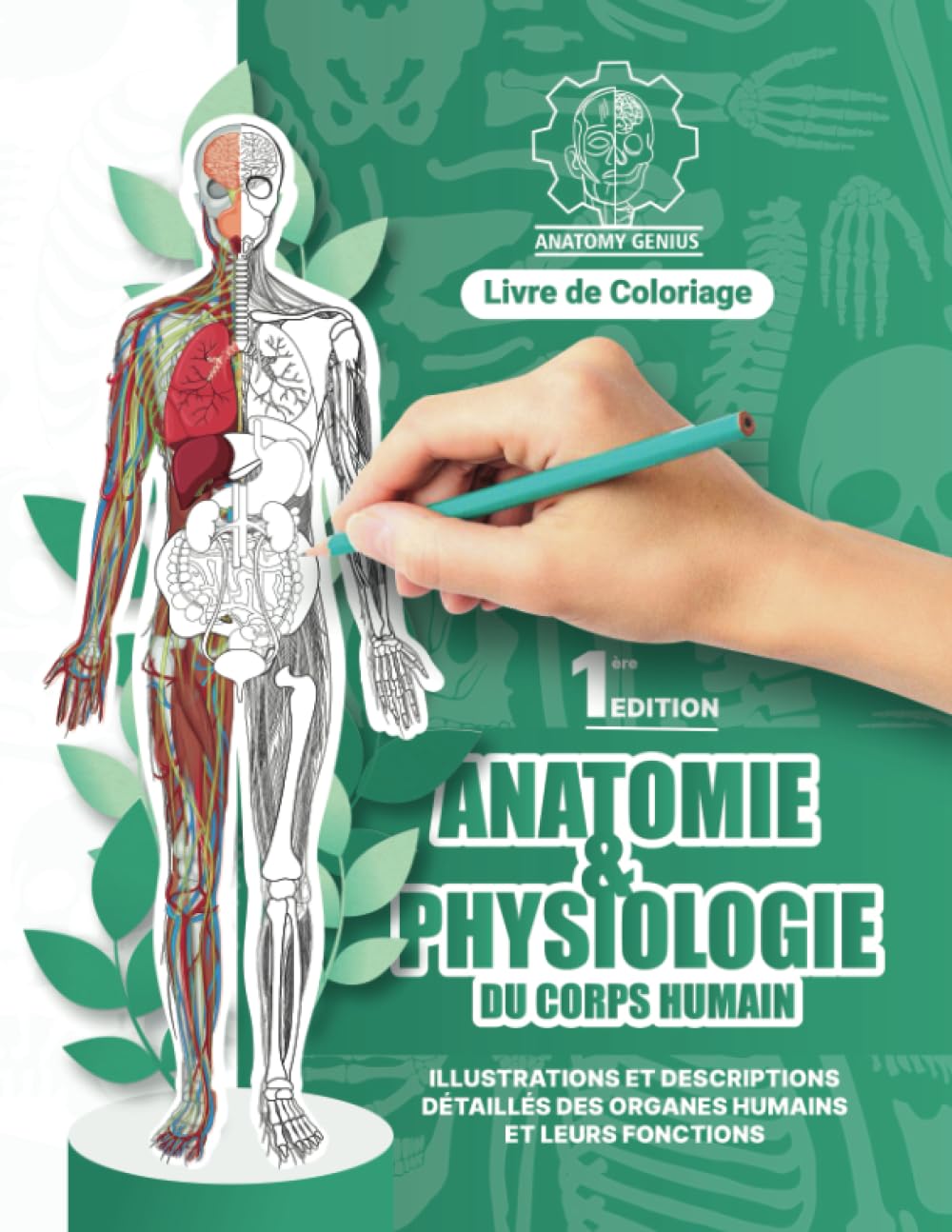 Anatomie et Physiologie du Corps Humain: Illustrations à Colorier et ...