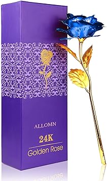 Amazon.com: 24K Golden Rose, ALLOMN Long Stem Real Rose Dipped in Gold ...