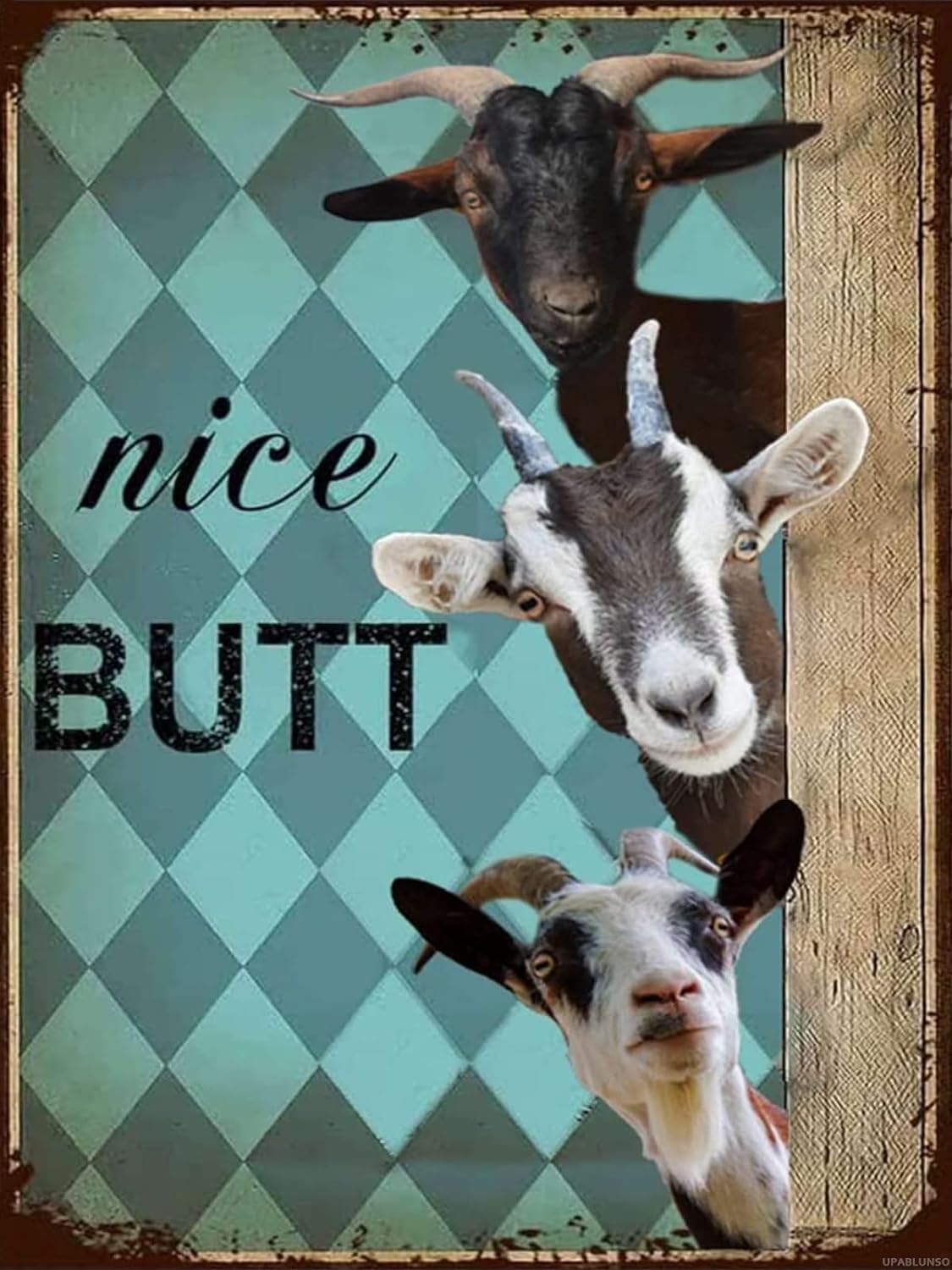 Amazon.com: UPABLUNSO Diamond Painting Kits, Animal Goat Interesting ...