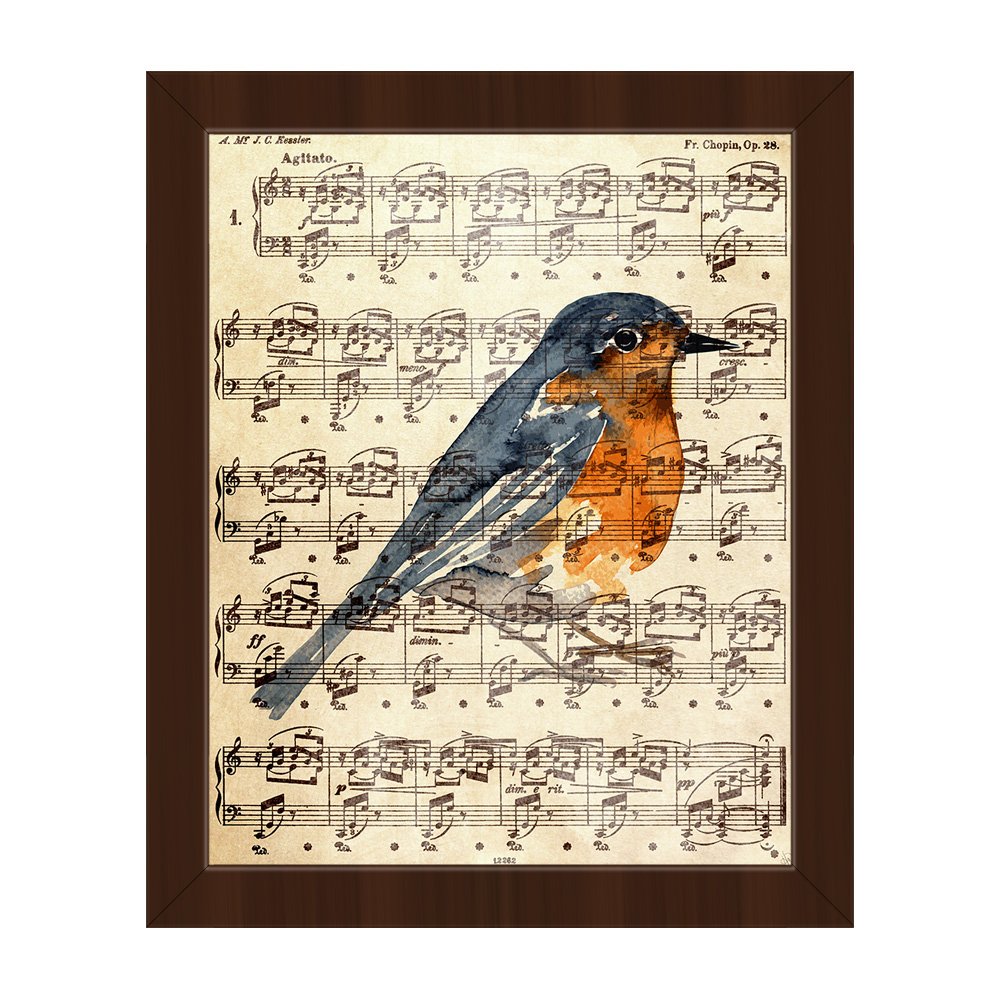 Music Bird Drawing