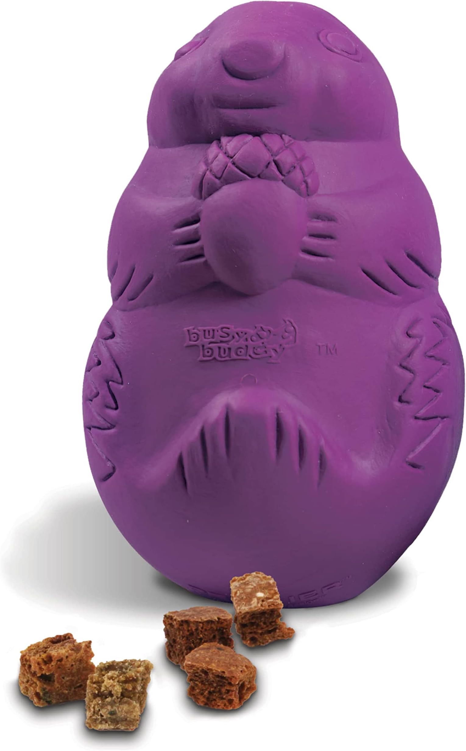Busy Buddy Squirrel Dude, Interactive Treat Dispensing Dog Toy - Chew ...