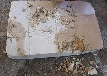 Amazon.com: Jurassic World: Dinosaur Dig – Triceratops, Giganotosaurus ...