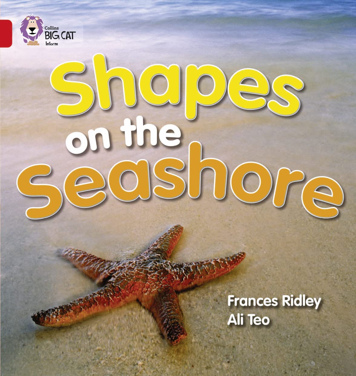 Shapes on the Seashore: A non-fiction recount of a boy exploring the ...