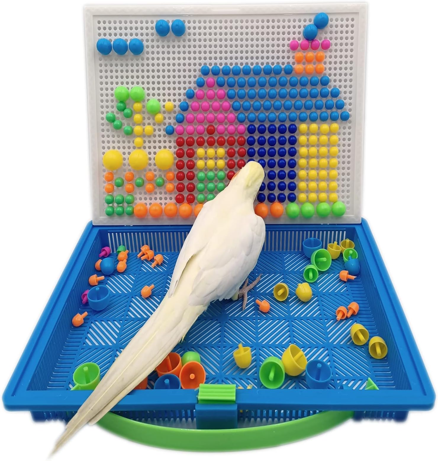 Amazon.com : CIEZZU Bird Toys for Parakeets, Parrot Foraging and ...