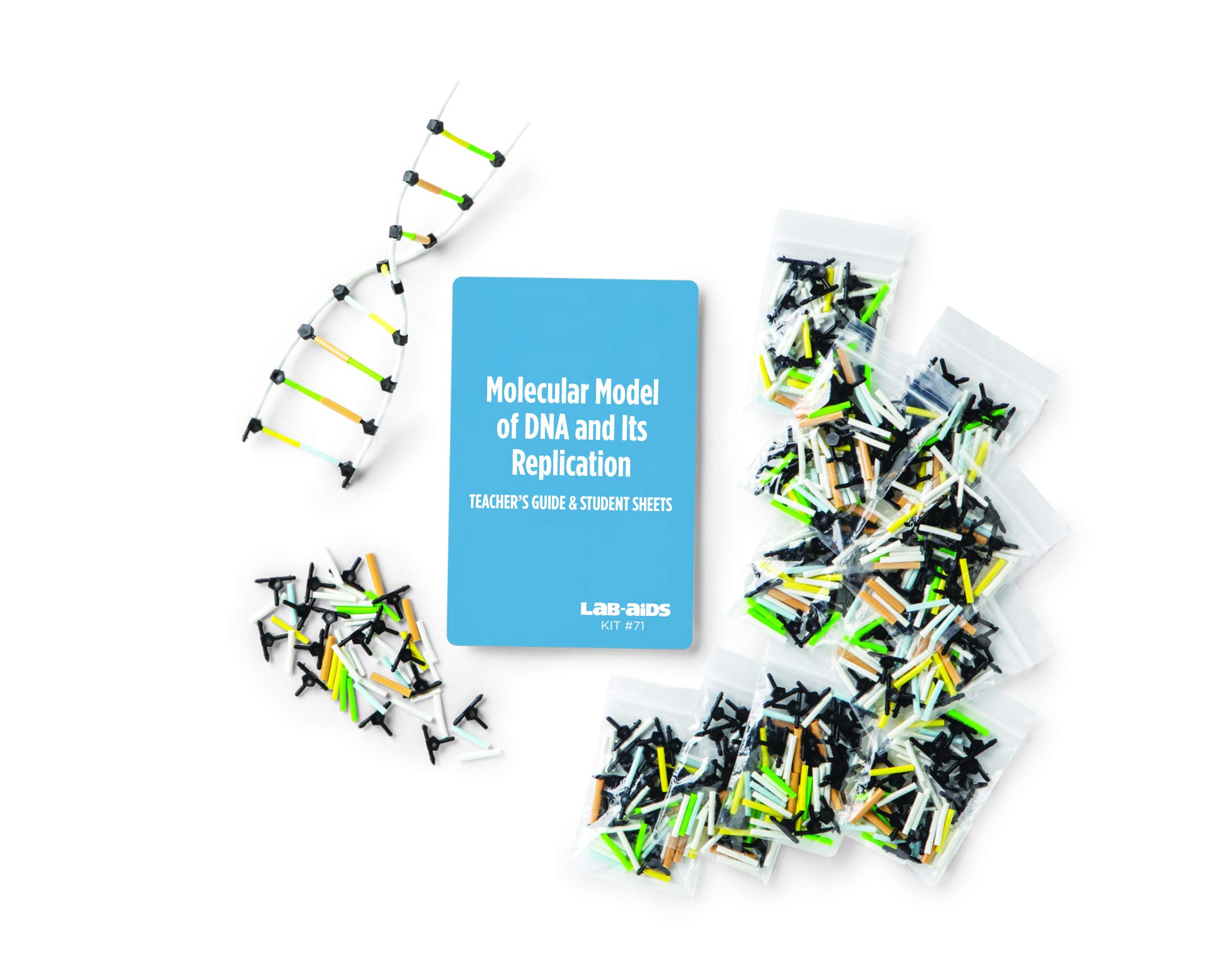 Dna Molecule Model Kit