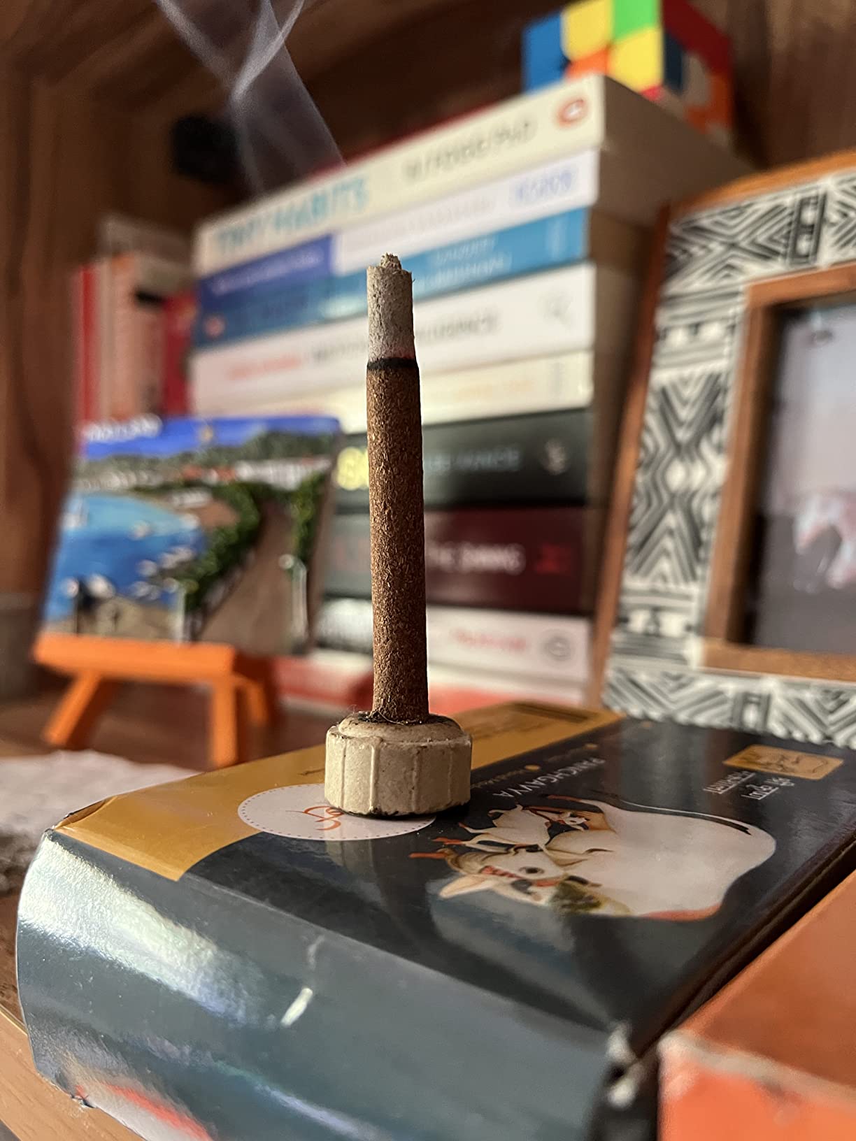 ARTH 100% Panchgavya Dhoop Sticks | Organic Cow Dung Dhoop | Natural ...