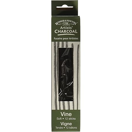 Amazon.com: Winsor & Newton Artist Vine Charcoal Sticks, Soft, Box of ...