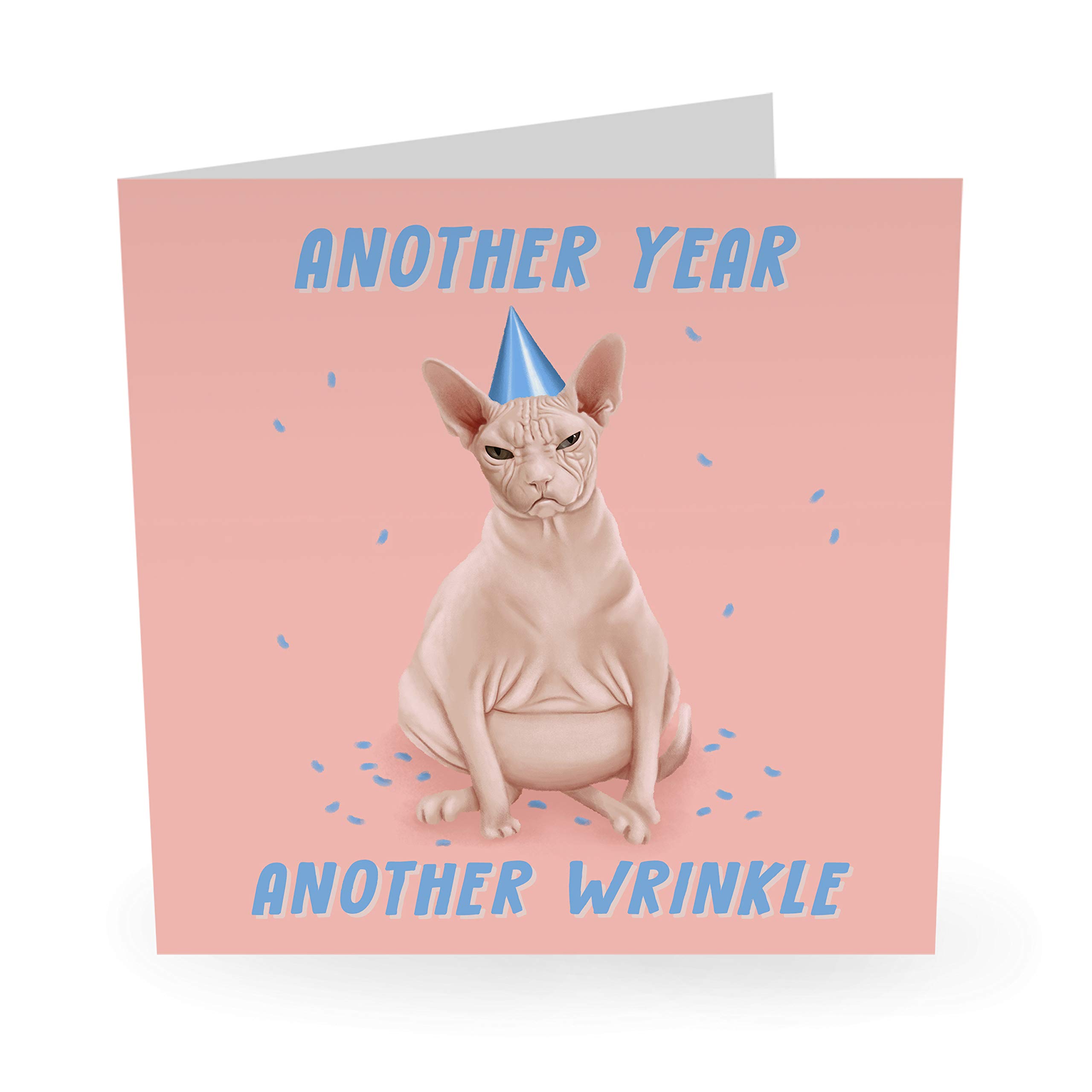 Buy Central 23 Funny Birthday Card For Her Or Him For Friends