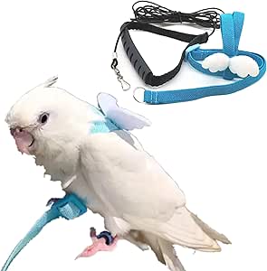 Pet Parrot Bird Harness Leash Adjustable Bird Flying Harness Traction ...