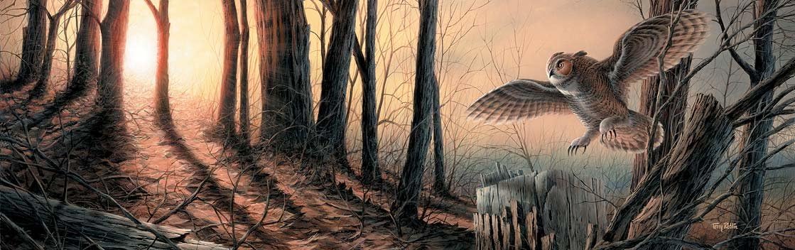 Amazon.com: Wild Wings Silent Flight Horizon Horizon Print by Terry ...