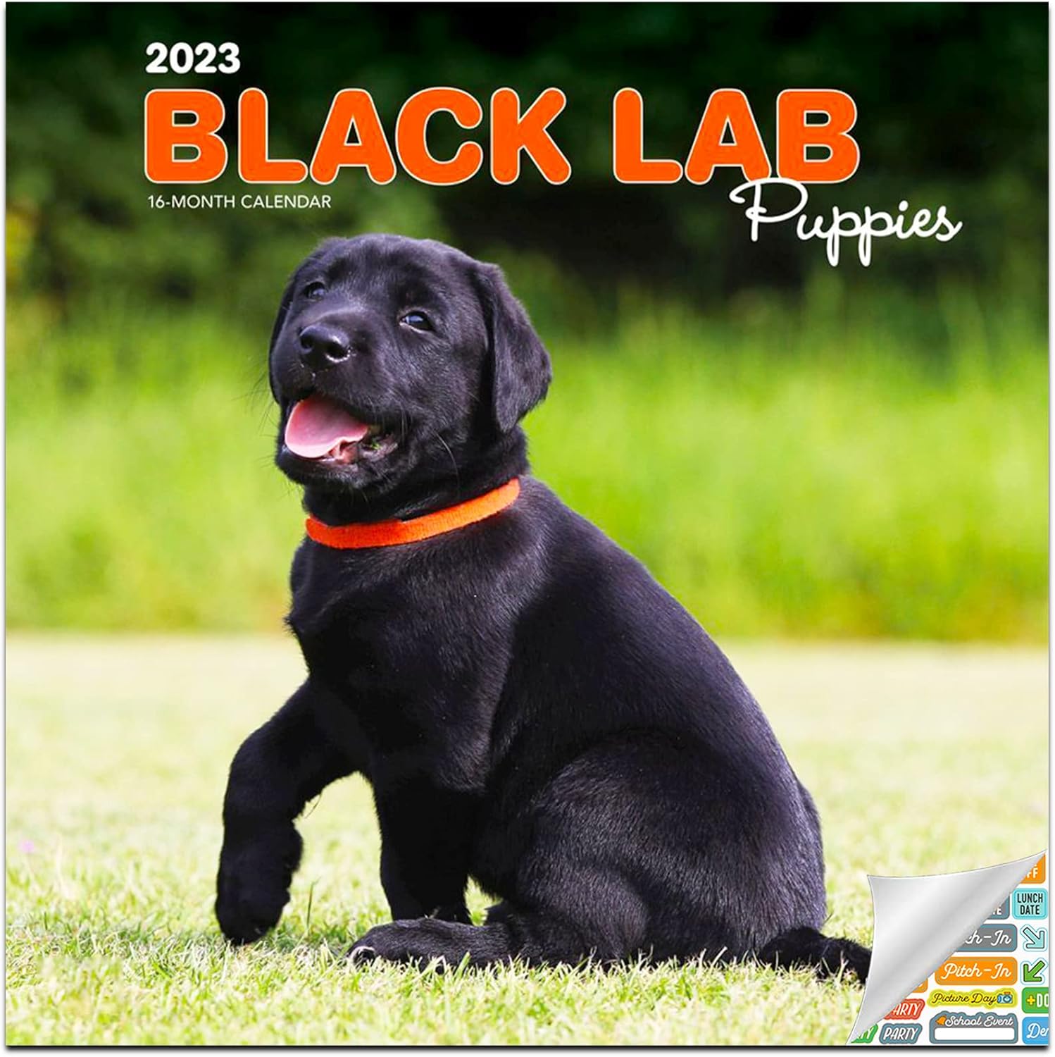 Amazon.com: Black Lab Puppies Calendar 2023 - Deluxe 2023 Black Lab Puppies Wall Calendar Bundle ...