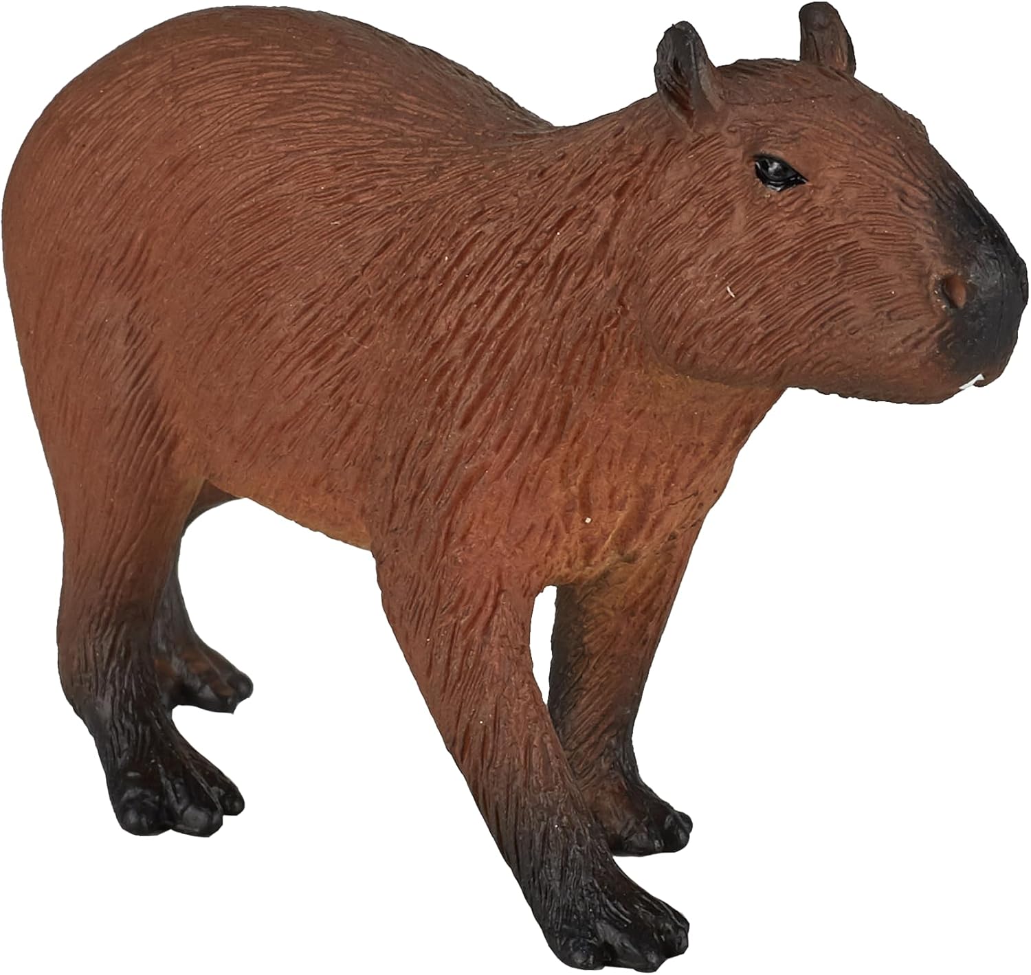 MOJO – Capybara | Hand-Painted Toy Figure | Wildlife Collection | True ...
