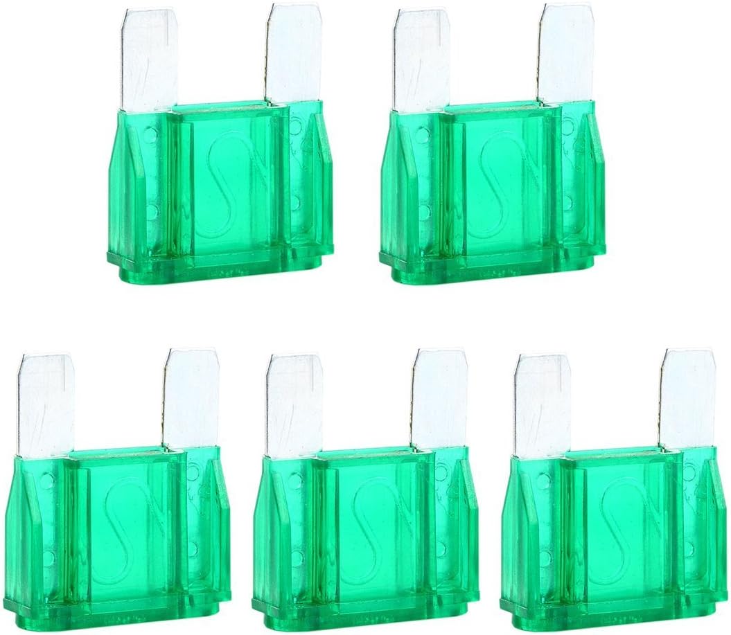 Amazon.com: ACDelco MAX30-5 Professional Light Green 30 Amp Automotive ...