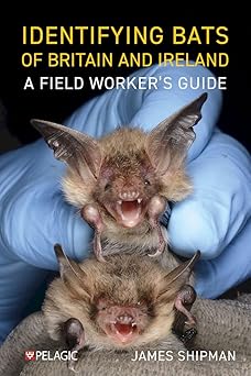 Identifying Bats of Britain and Ireland: A Field Worker’s Guide ...