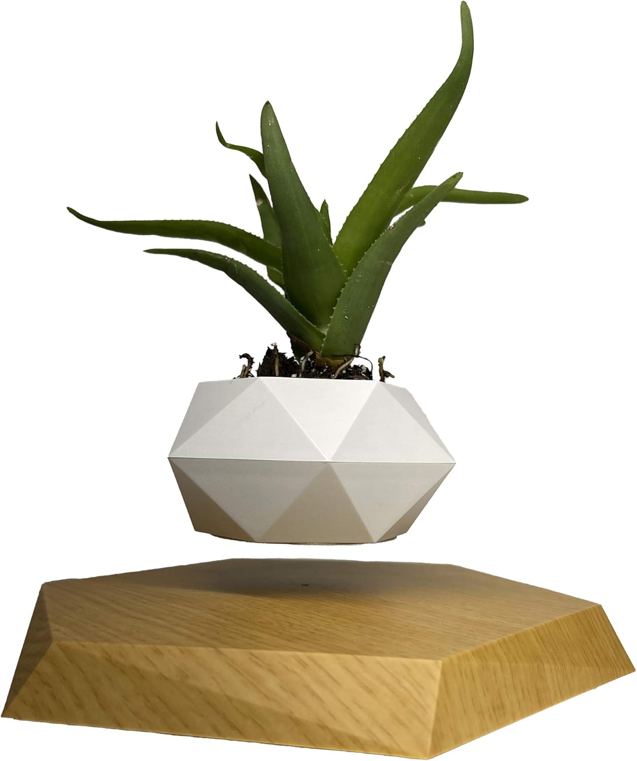 Authentic Levitating Floating Plant Pot for Air Plants, Magnetic ...