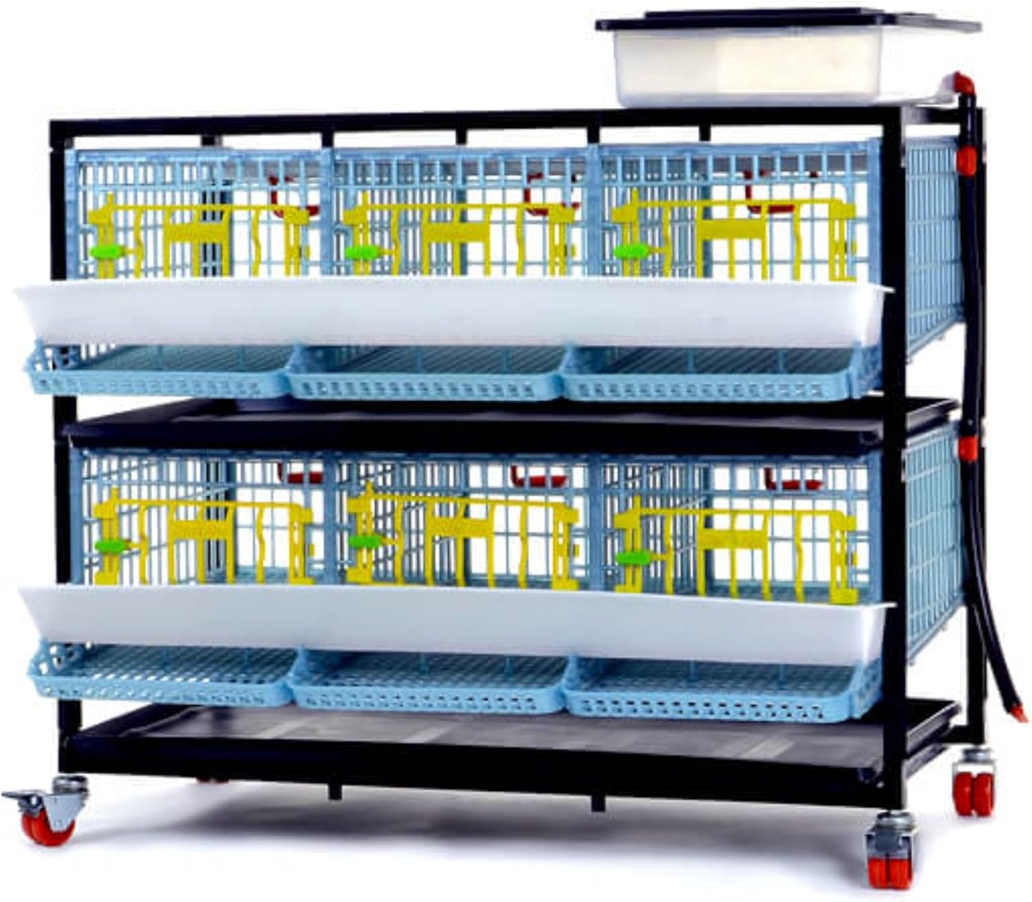 Jumbo Quail Breeding Cage Indoor: 2 Layer Stackable Quail Coop, Easy ...