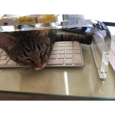 Keyboard Cover Anti-Cat, Clear Plexiglass Keyboard Zambia | Ubuy