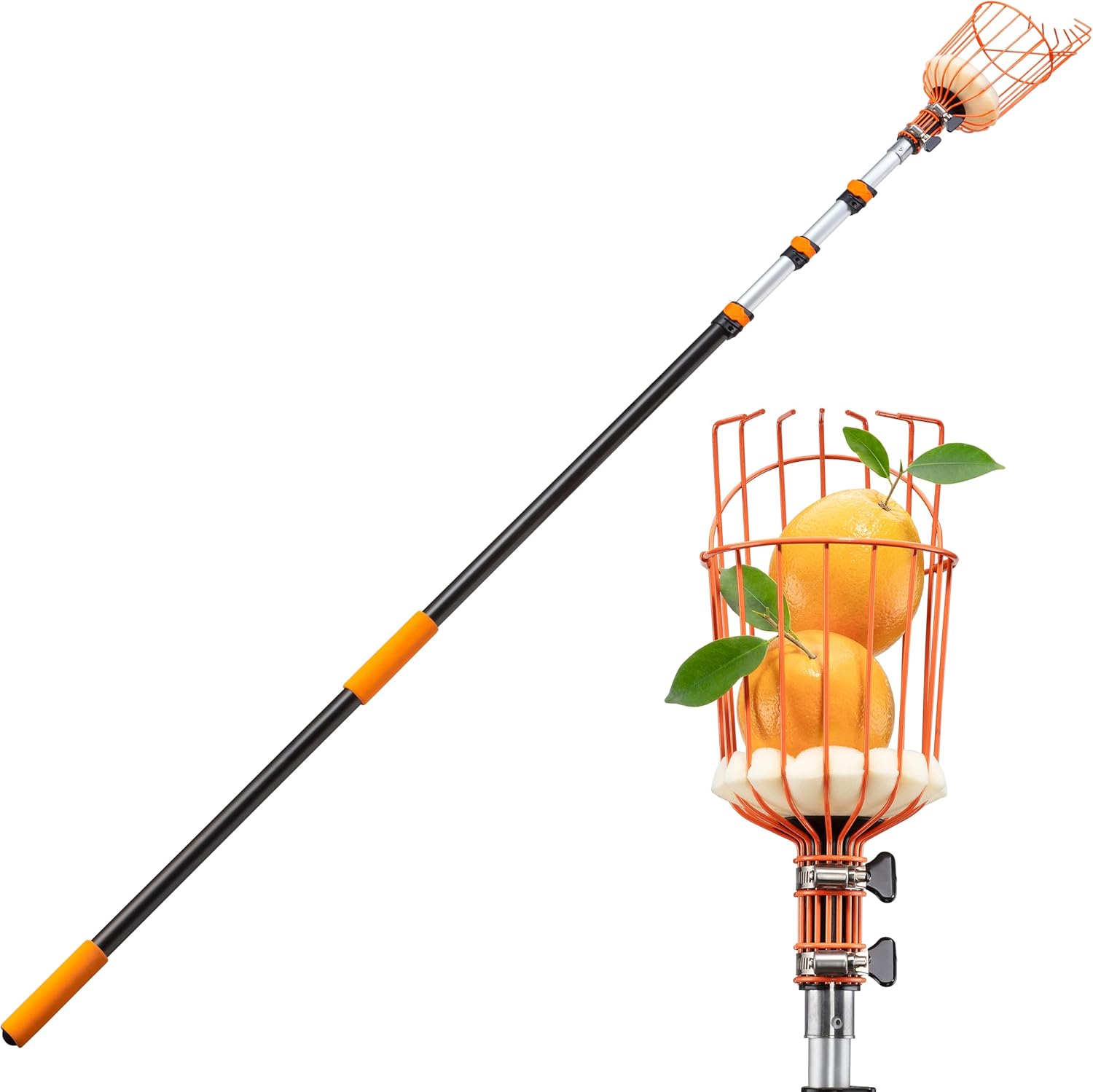 Amazon.com : Fruit Picker Pole with Basket Telescoping 7-30 ft Apple ...