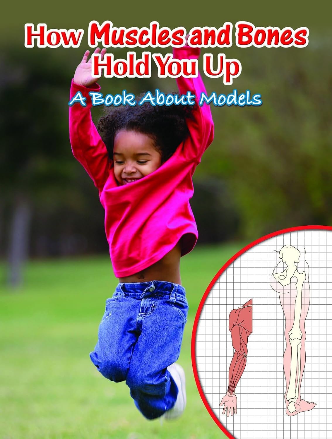 How Muscles and Bones Hold You Up: A Book About Models : Freeman ...
