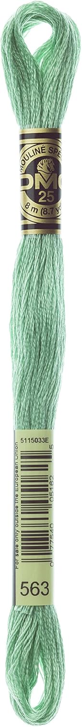 Amazon.com: DMC 117-563 Six Stranded Cotton Embroidery Floss, Light ...
