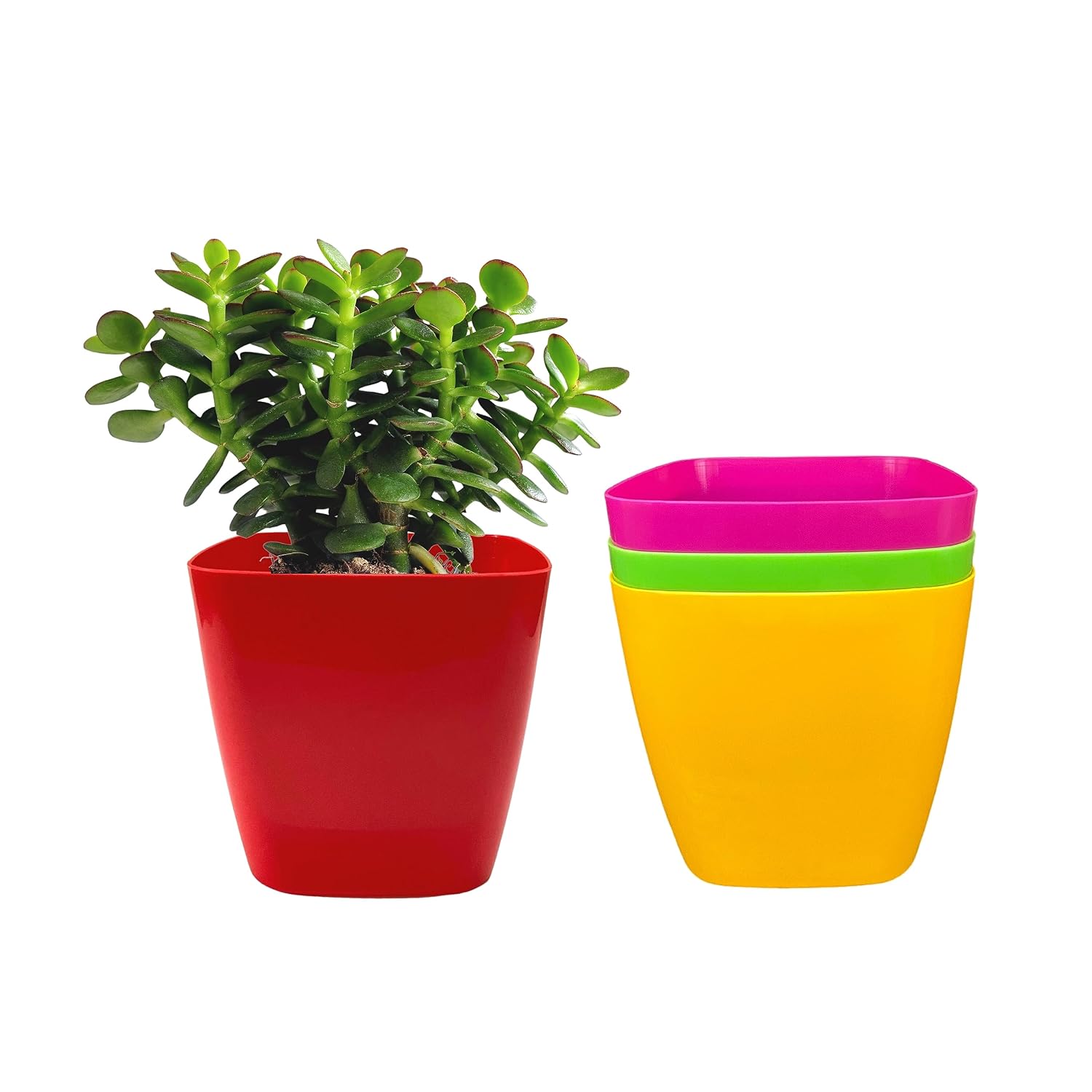 Indian Gardens - Olive (Small) Plastic Pots for Home Garden | Gardens ...