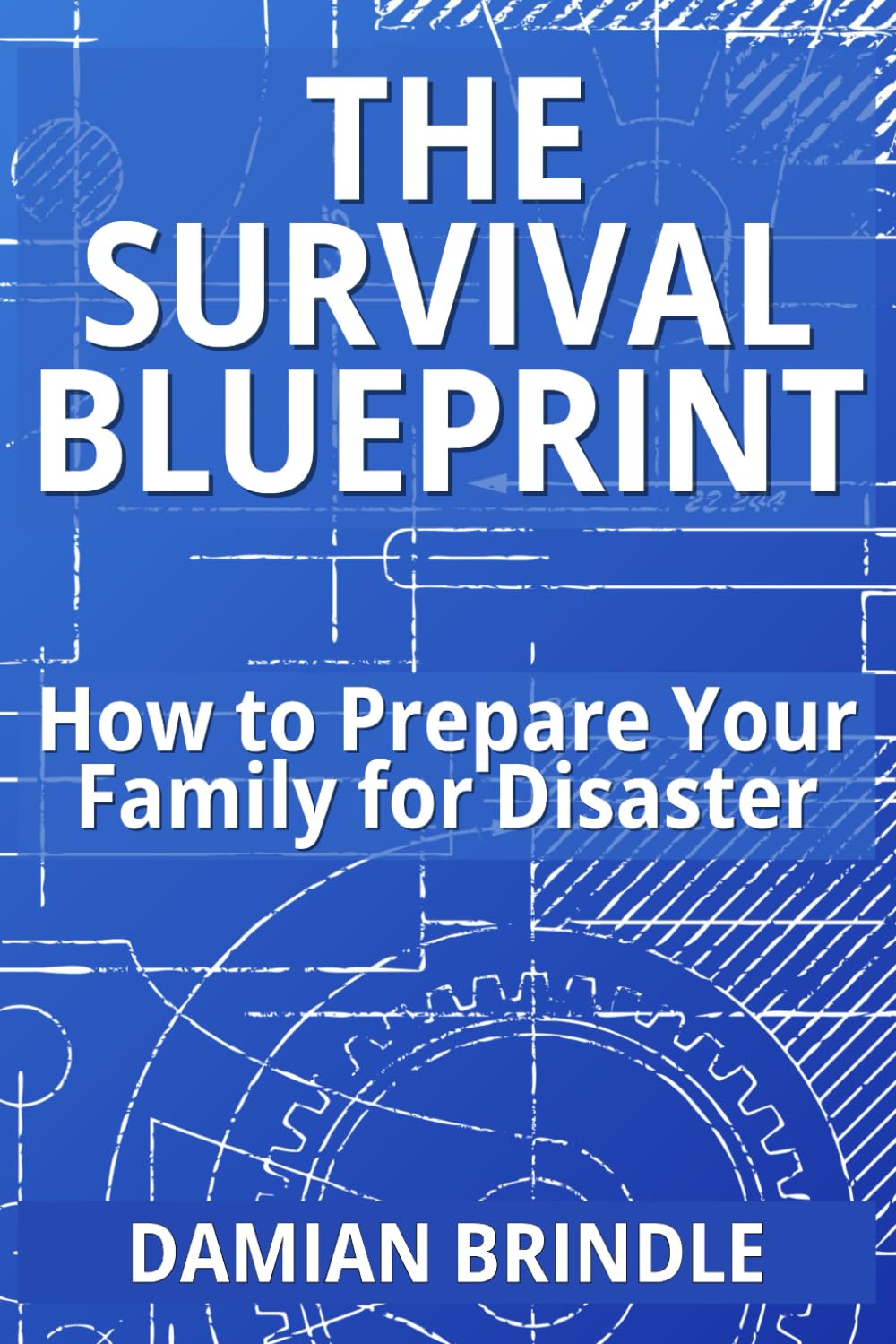 The Survival Blueprint: How to Prepare Your Family for Disaster (The ...