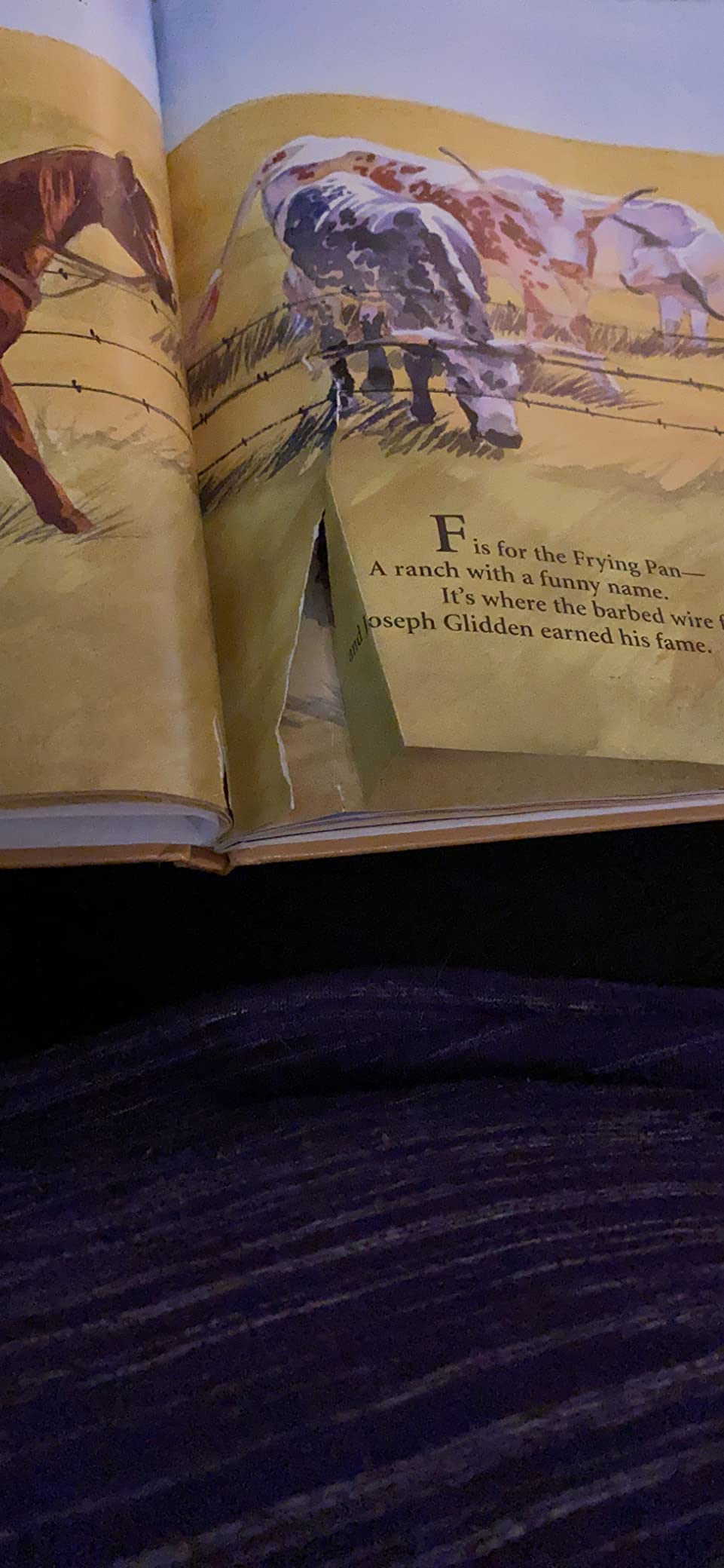 B is for Buckaroo: A Cowboy Alphabet: Louise Doak Whitney, Gleaves ...