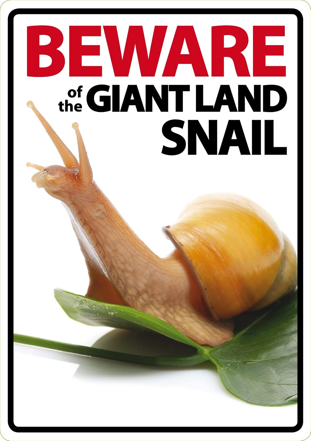 Amazon.com: Beware of The Giant Land Snail Plastic Sign : Patio, Lawn ...
