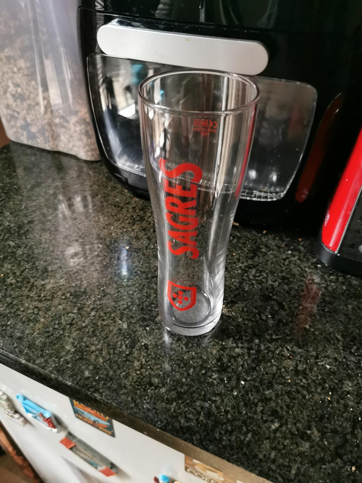 GarageBar | Sagres Pint Beer Glass | Nucleated | Pint to Brim ...