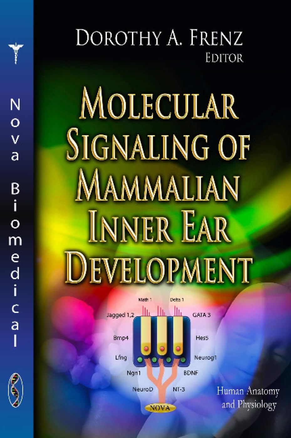 Buy Molecular Signaling of Mammalian Inner Ear Development (Human ...