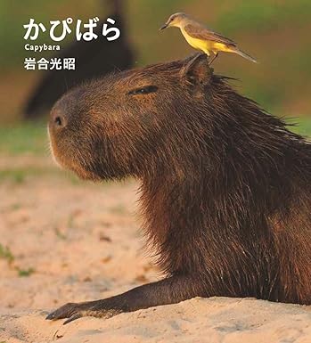 かぴばら (IWAGO'S BOOK 5) | 岩合 光昭 |本 | 通販 | Amazon