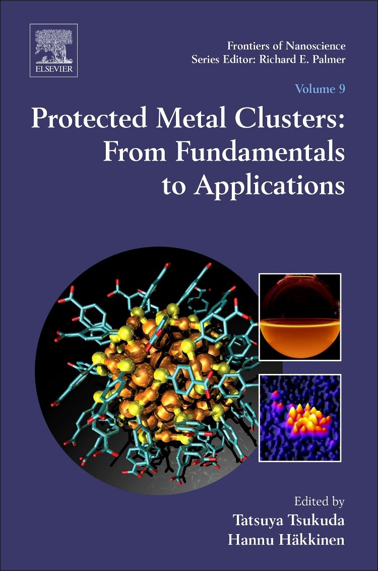Amazon.com: Protected Metal Clusters: From Fundamentals to Applications ...