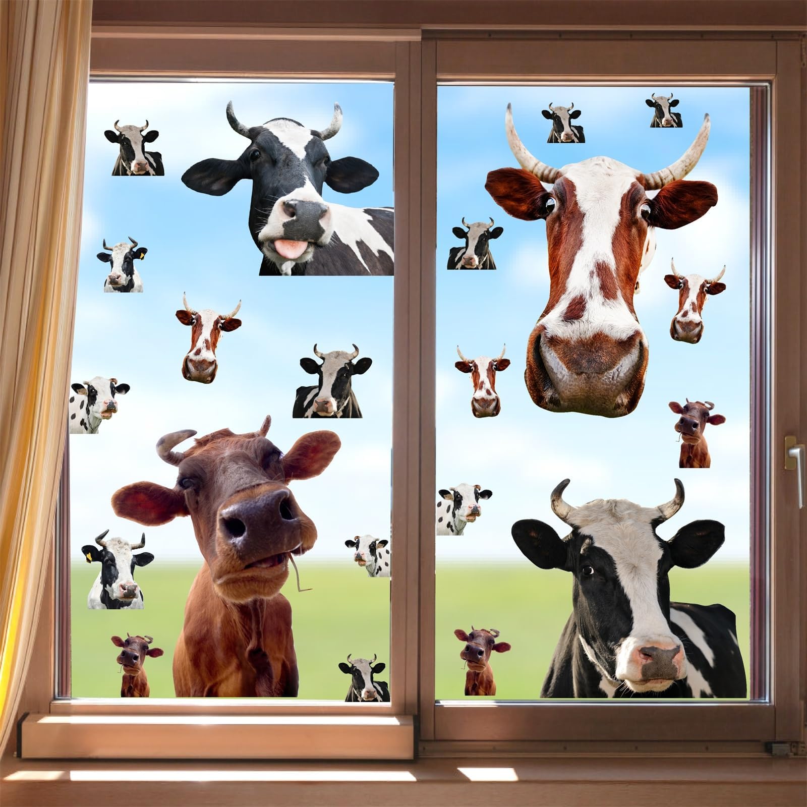 Amazon.com: wall26 - A Cow Sticking its Head into an Open Window ...