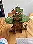 Amazon.com: Everdell: Wooden Ever Tree - by Starling Games - for use ...