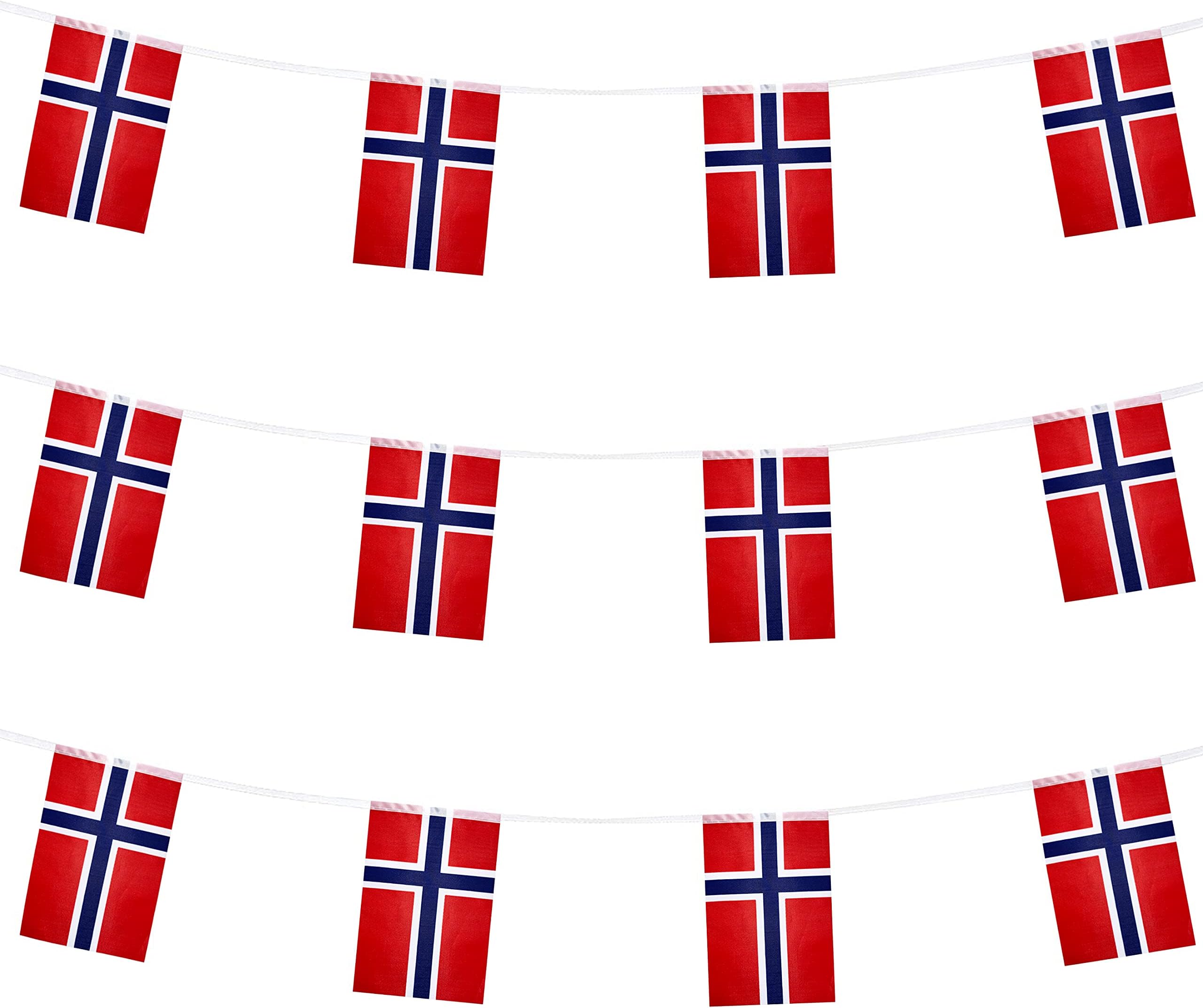 Amazon.com : 10 Pack Norway Norwegian Flags on Stick 5x8 Inch,Patriotic ...