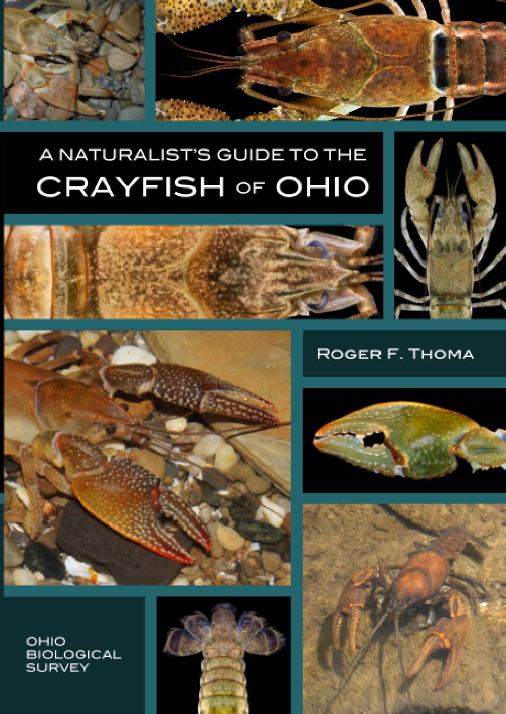 A Naturalist’s Guide to the Crayfish of Ohio: Thoma, Roger F ...