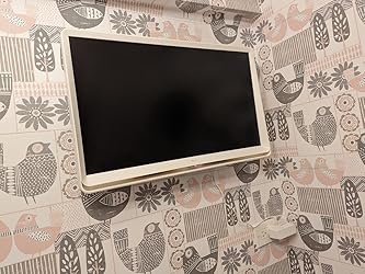 Amazon.com: LG 27LQ600S-WU 27” Full HD IPS LED-TV-Monitor, White ...