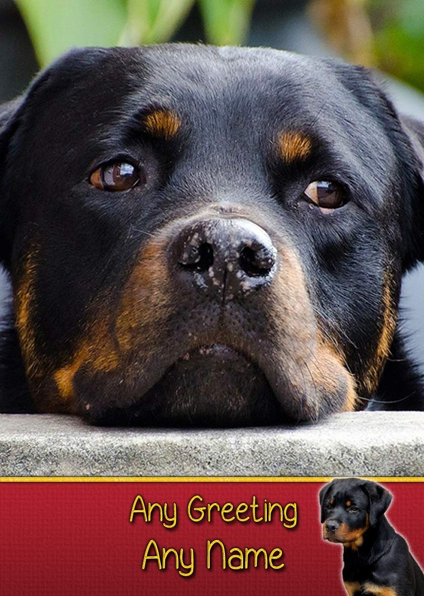 Personalised Rottie/Rottweiler Dog Greeting Card (Birthday, Christmas ...