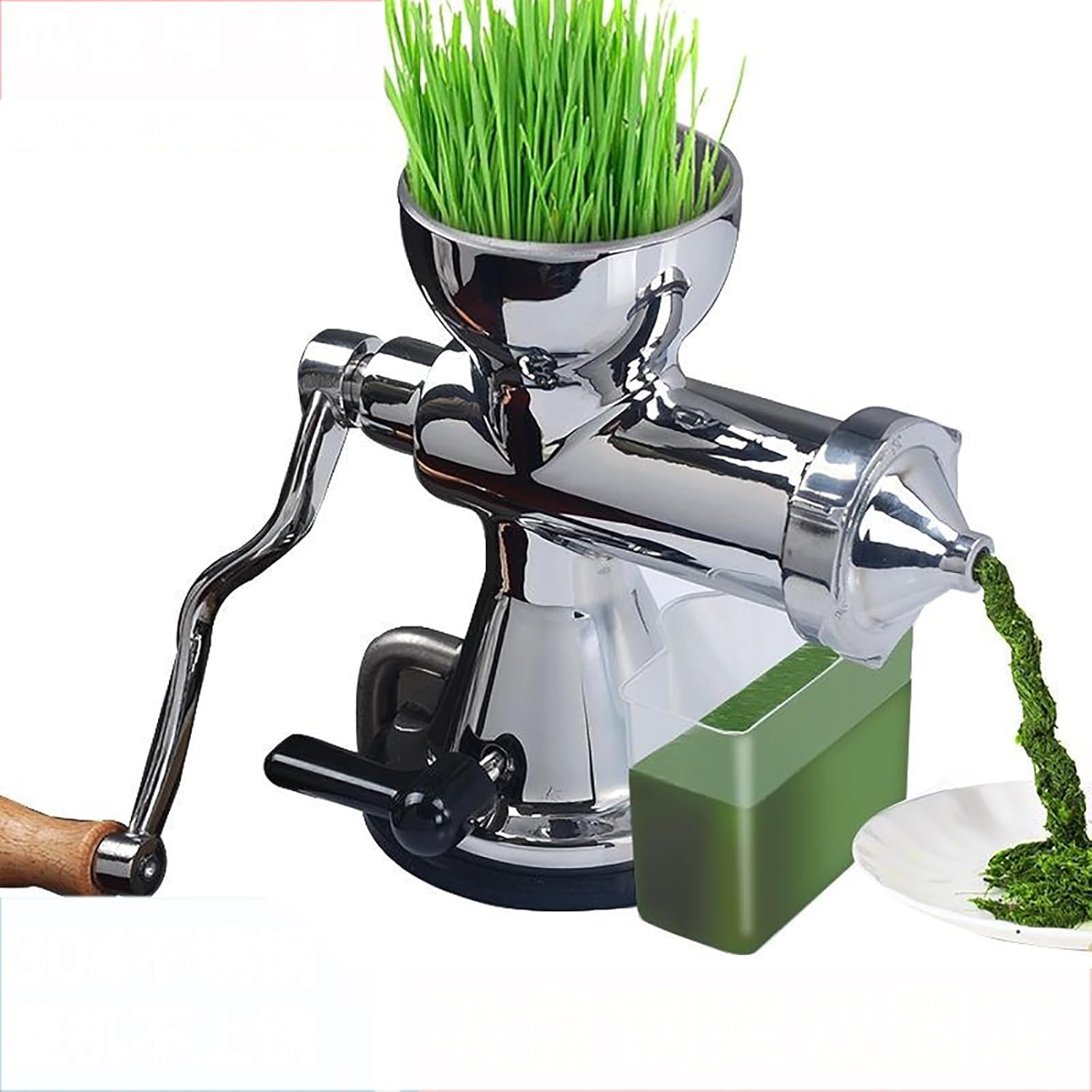 Amazon.com: Manual Wheatgrass Juicer Extractor, Stainless Steel Hand ...