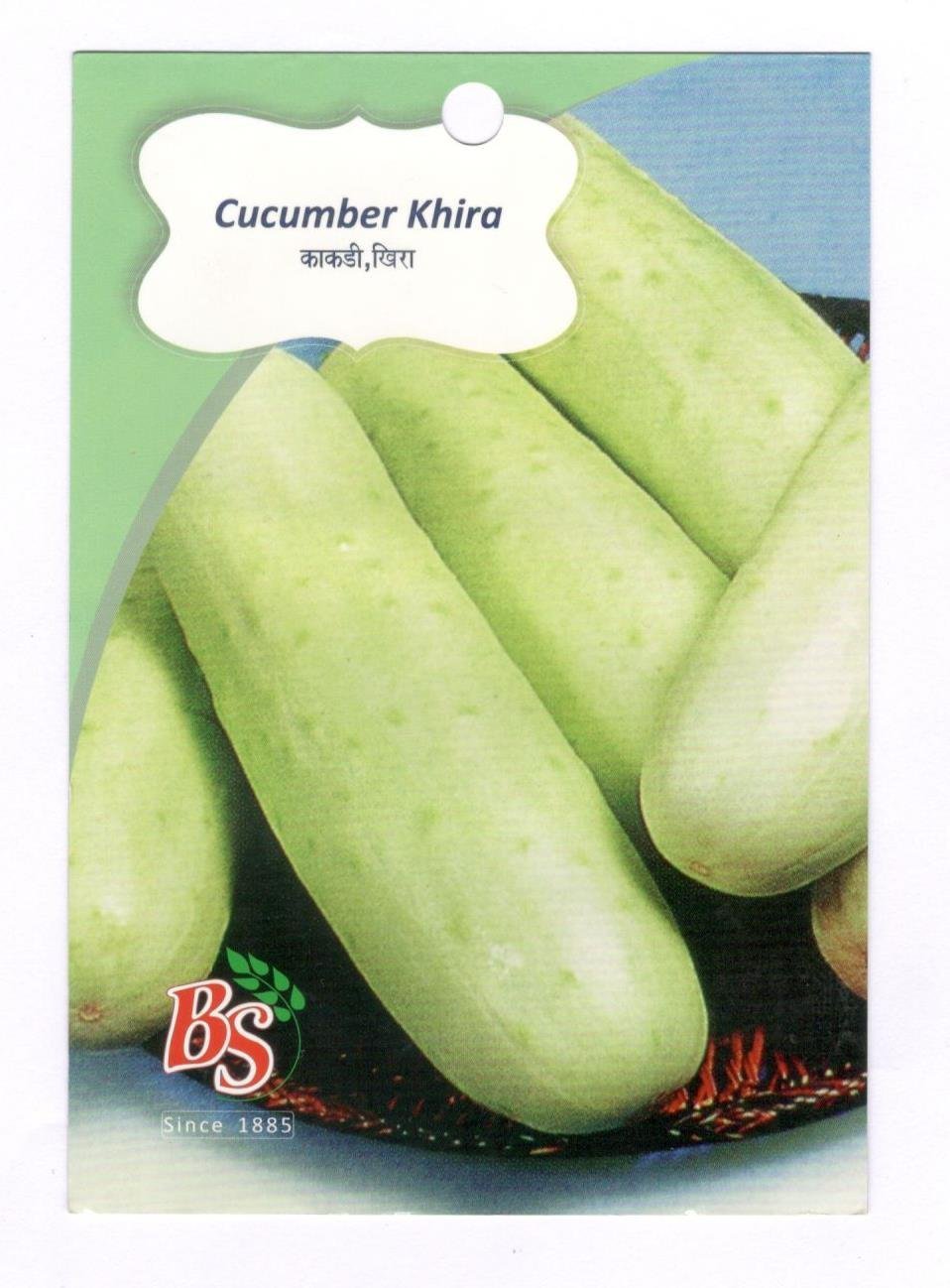 Buy Bombay Seeds Cucumber Khira Kgp Seeds (Pack Of 3) Online at Low ...