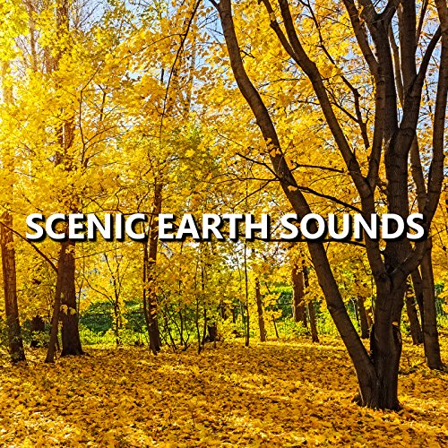 Amazon Music - Earth SoundsのScenic Earth Sounds - Amazon.co.jp