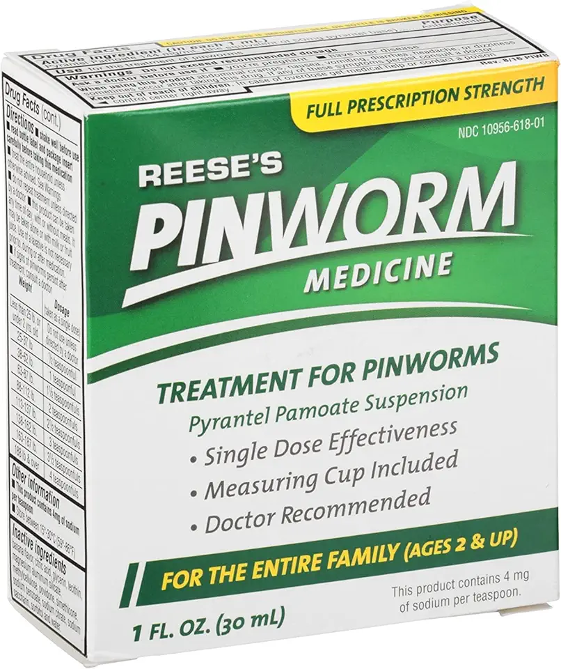 Pinworms In Dogs: Causes, Symptoms, And Treatment | PetShun