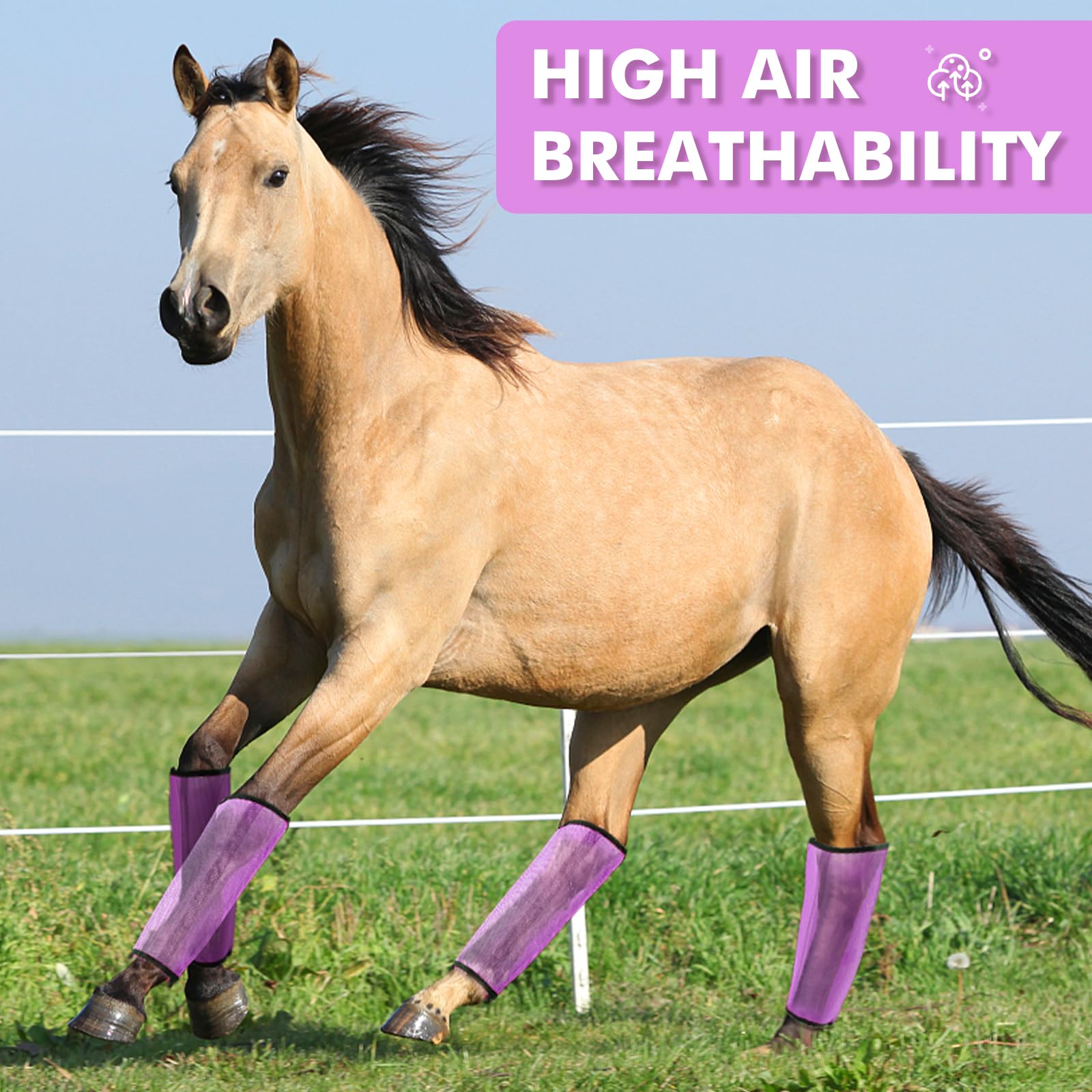 Swat For Horses Horse Fly Protection Boots With Leather Frame, Mesh Leg ...