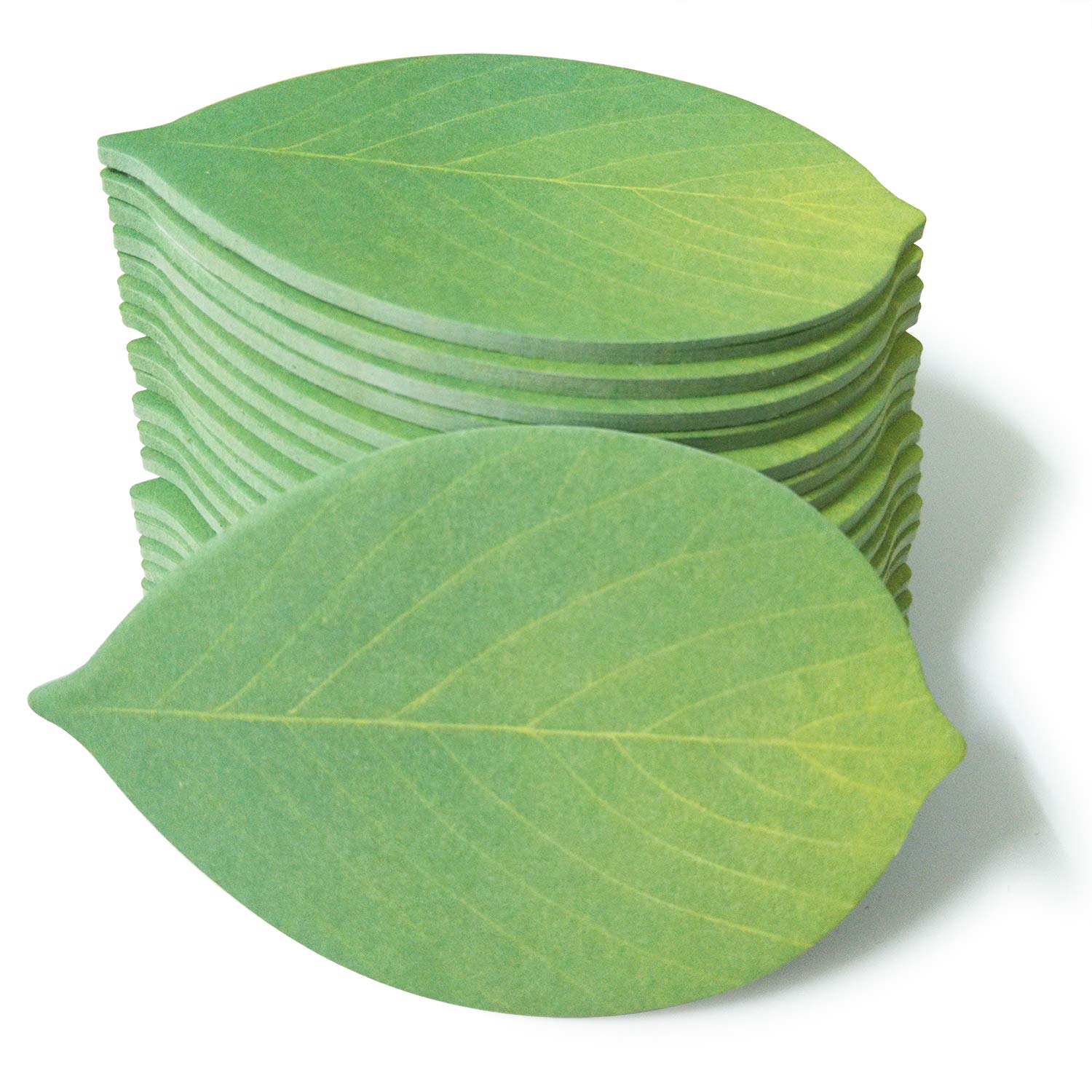 Amazon.com : Cute Tree Leaf Sticky Notes/Paper Memo Self-Adhesive Notes ...