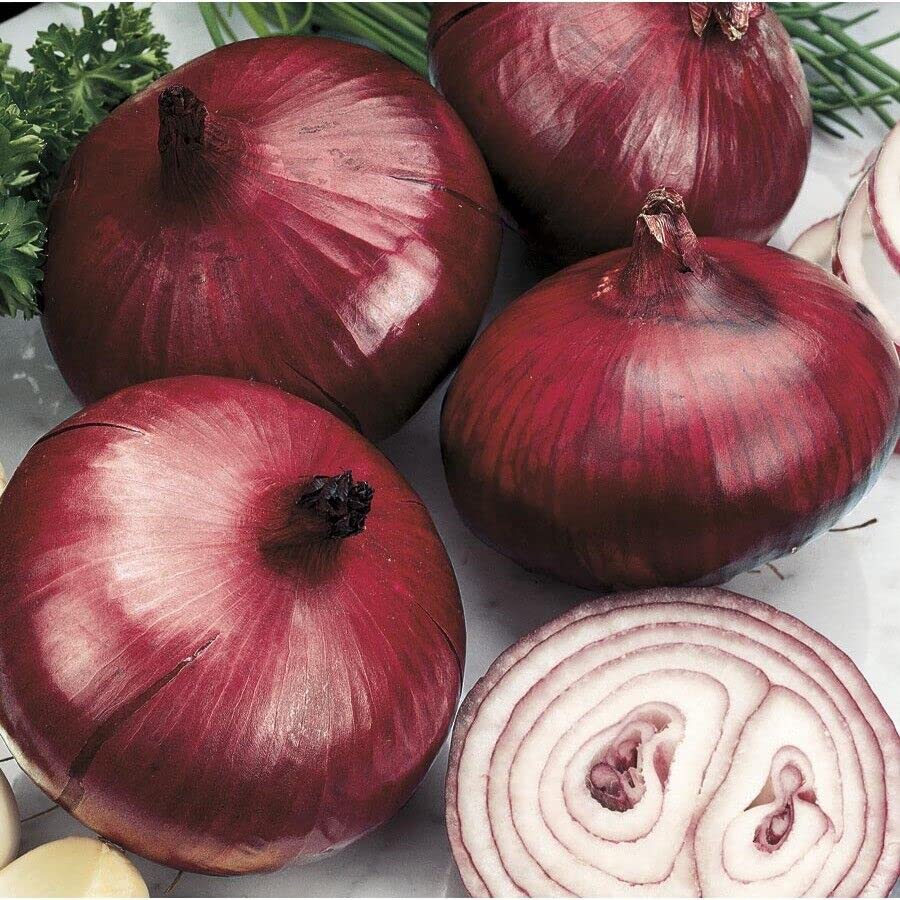M-Tech Gardens Rare Onion " Red Giant " Exotic 100 Vegetable Seeds for ...