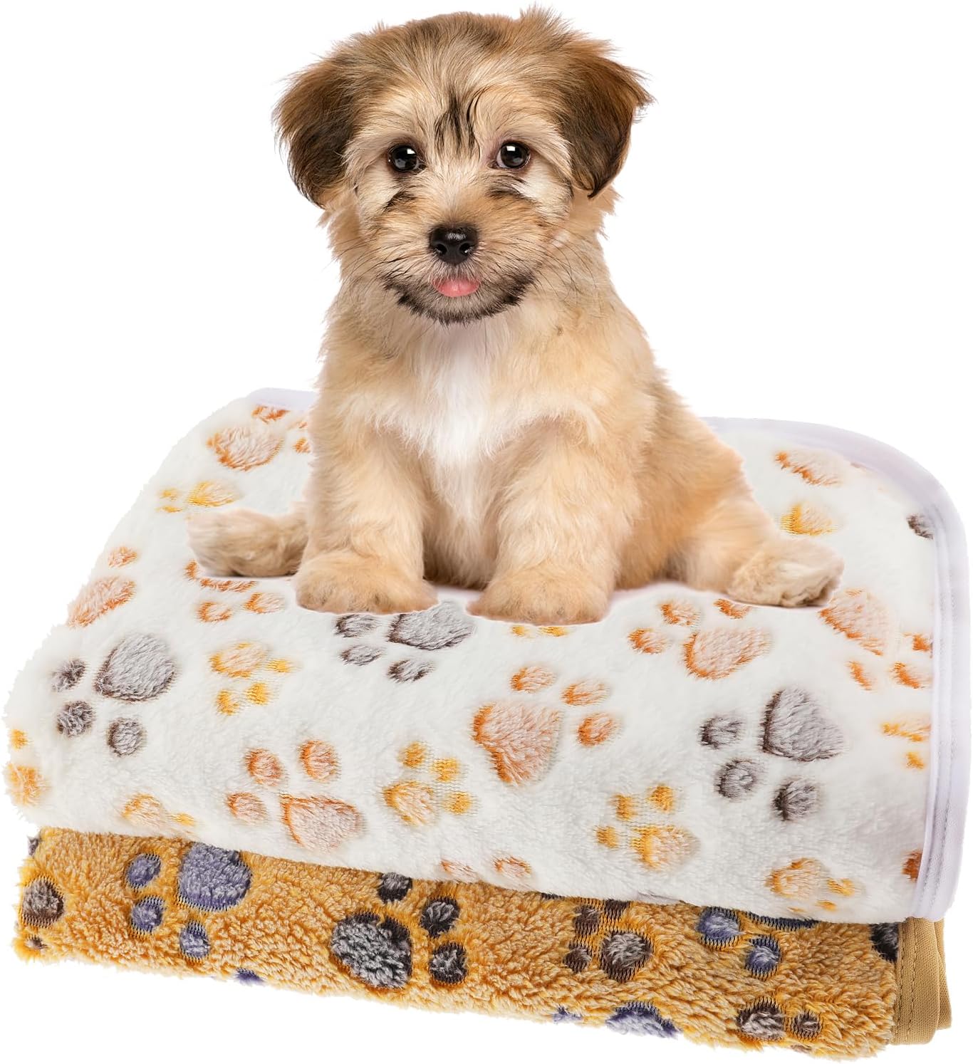 Amazon.com: WZYuan Puppy Blanket Bone House Bowl Prints Pet Cushion ...